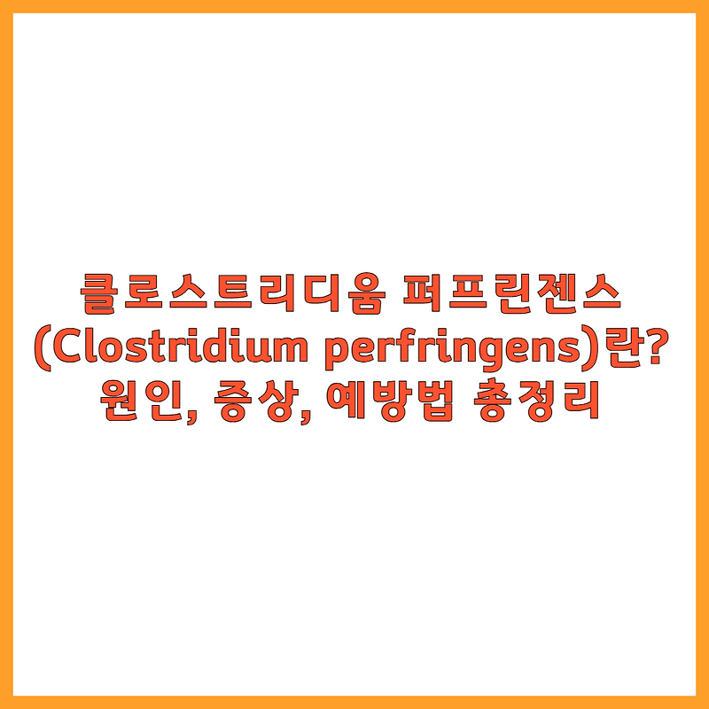 클로스트리디움 퍼프린젠스(Clostridium perfringens)란? 원인, 증상, 예방법 총정리