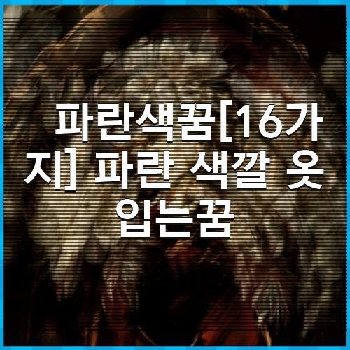파란색꿈[16가지] 파란옷입는꿈
