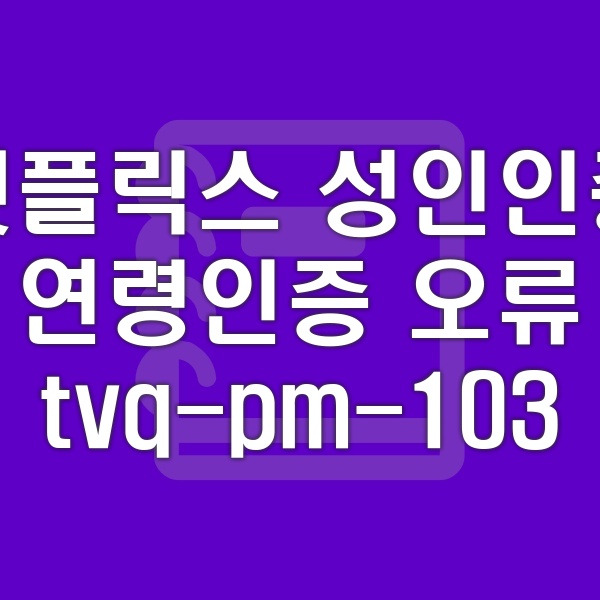 넷플릭스 성인인증 연령인증 오류 tvq-pm-103 해결 방법