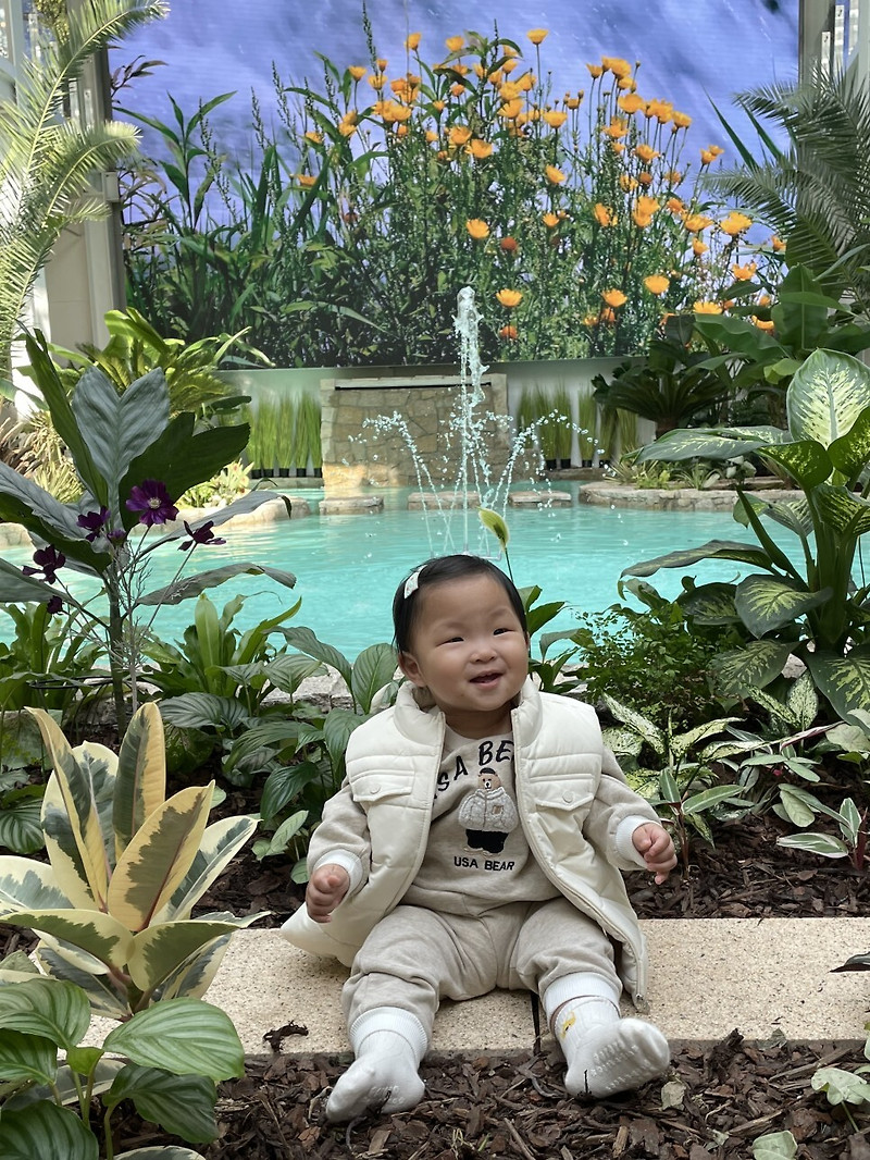 ?scode=mtistory2&fname=https:%2F%2Fblog.kakaocdn.net%2Fdn%2FbDpB64 ...