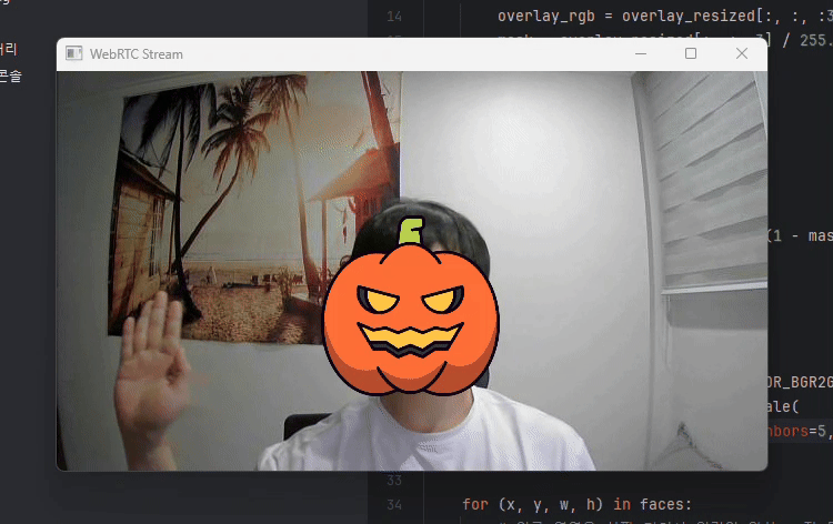 Python 서버 실시간 웹캠 영상 처리 방법 Reactjs Webrtc Fastapi Opencv 미디어 통신 실시간 영상 합성 — Railly`s It 정리노트