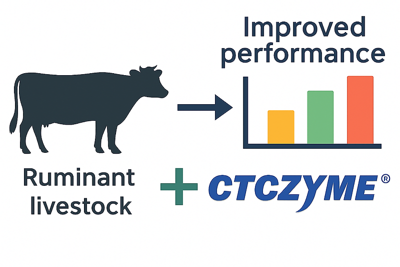 CTCZYME®의 반추가축에서의 기대 효과