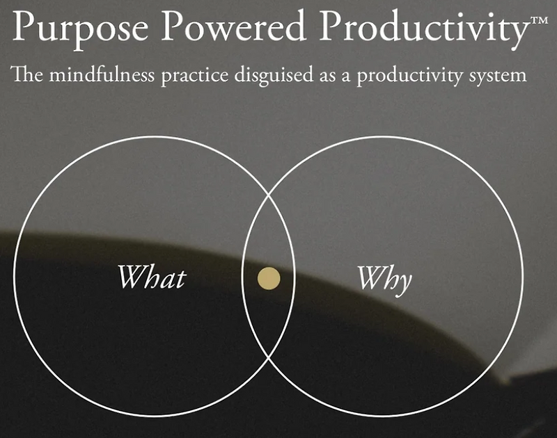 베이직 불렛저널 - 빠른 기록 rapid logging