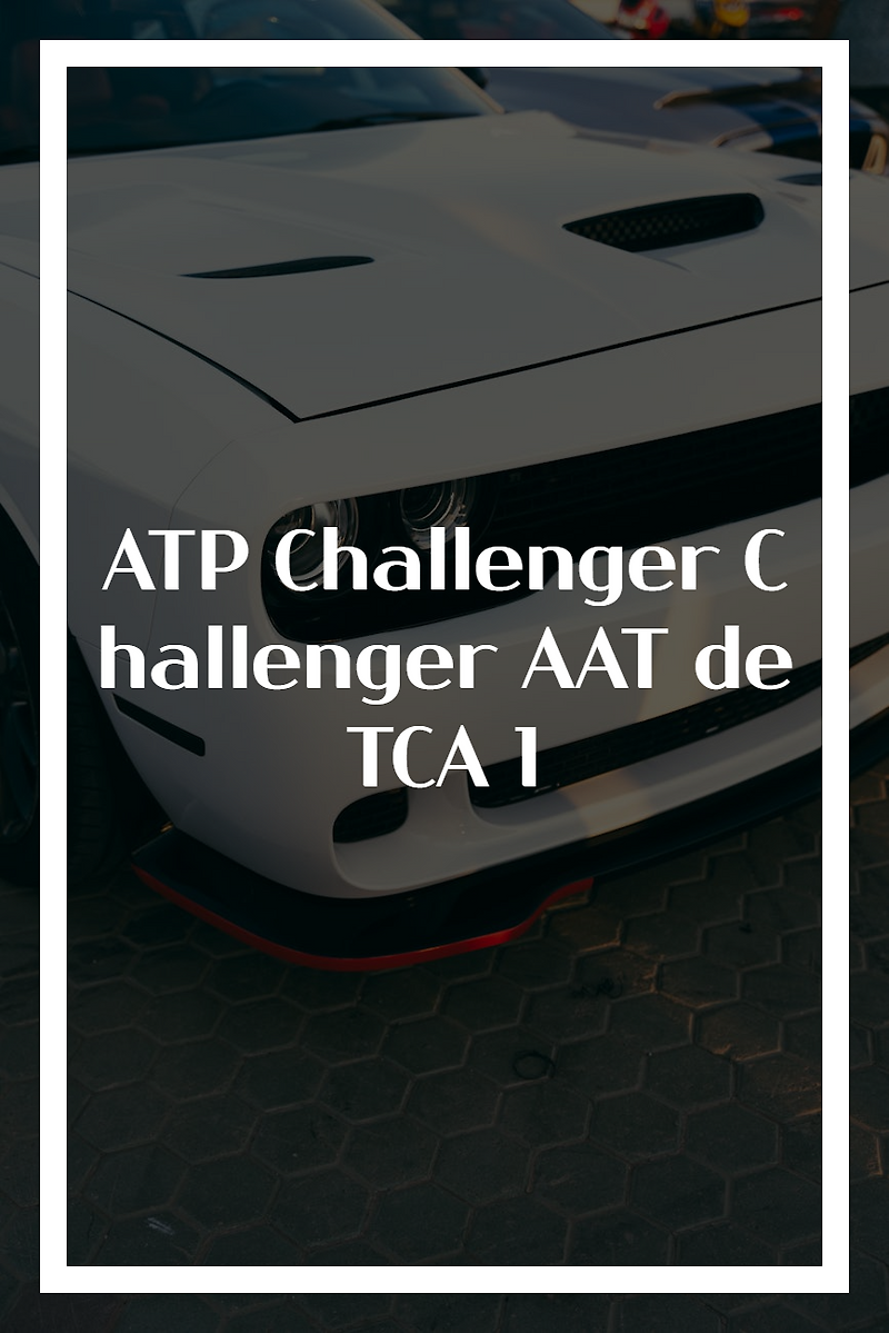 ATP Challenger Challenger AAT de TCA 1