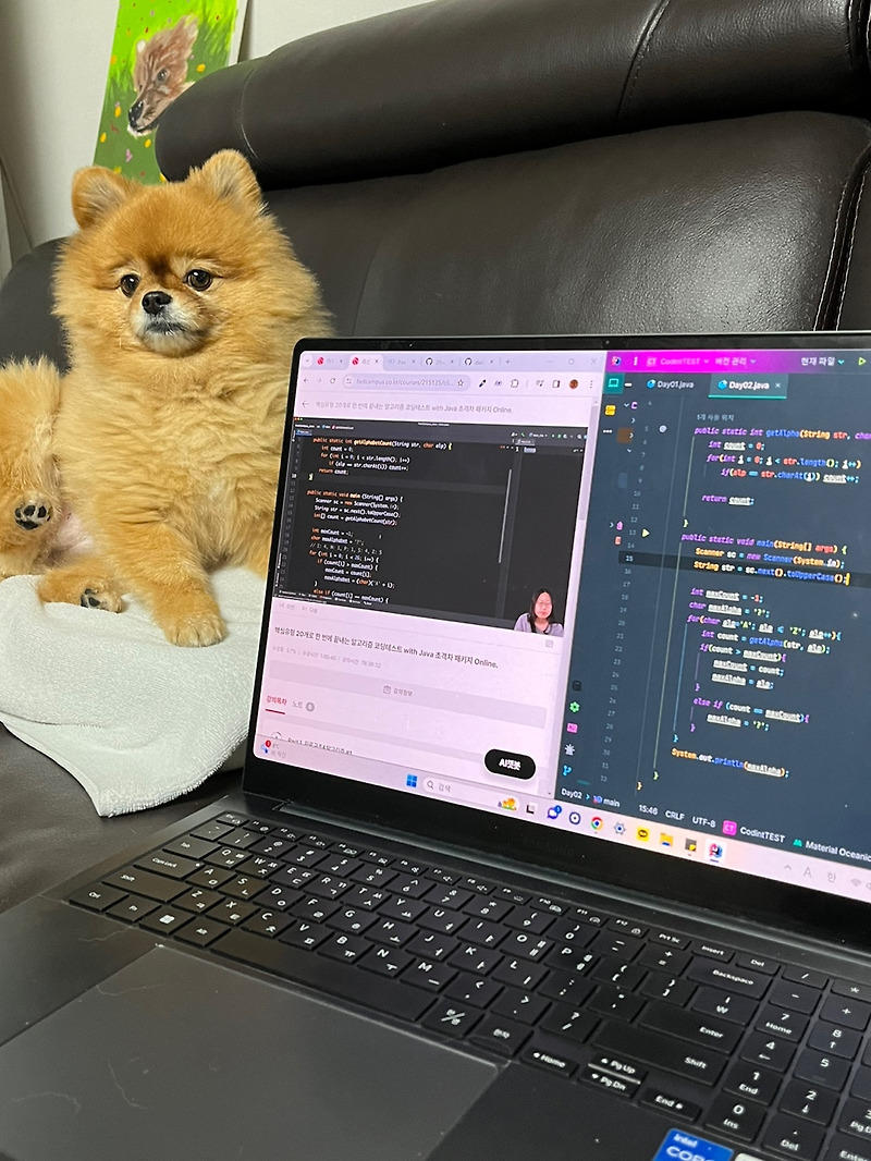 패스트캠퍼스 환급챌린지 4일차 미션 2월 4일 알고리즘 코딩테스트 With Java 강의 후기 행복한 연지의 개발일지