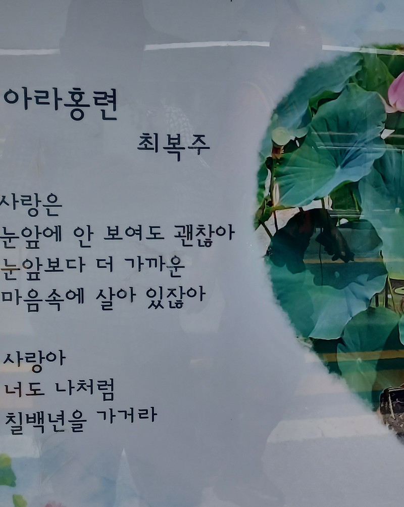 신(神)이라는 사랑