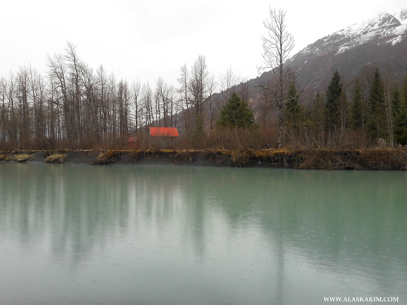 ALASKA " Fish&Camp 의 추억