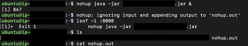 nohup: ignoring input and appending output to 'nohup.out'