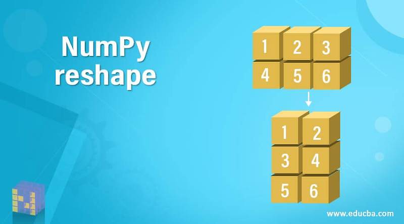 [Python] numpy reshape(-1,1)