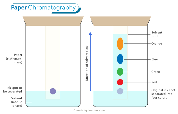 Chromatography (크로마토그래피)의 원리와 종류, 임상적 적용