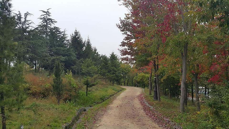내가 선택하지 않을 길을 나는 기웃거리지 않는다.