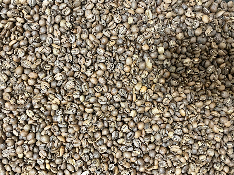 브라질 알보라다 카티구아MG2 펄프드 내추럴 무산소 발효 120시간