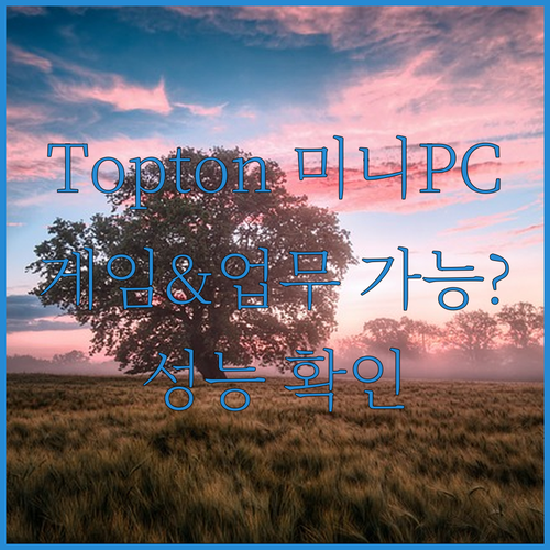 Topton 미니 PC D17 i7 1360P/1365U.. 게임과 업무 모두 가능할까요?