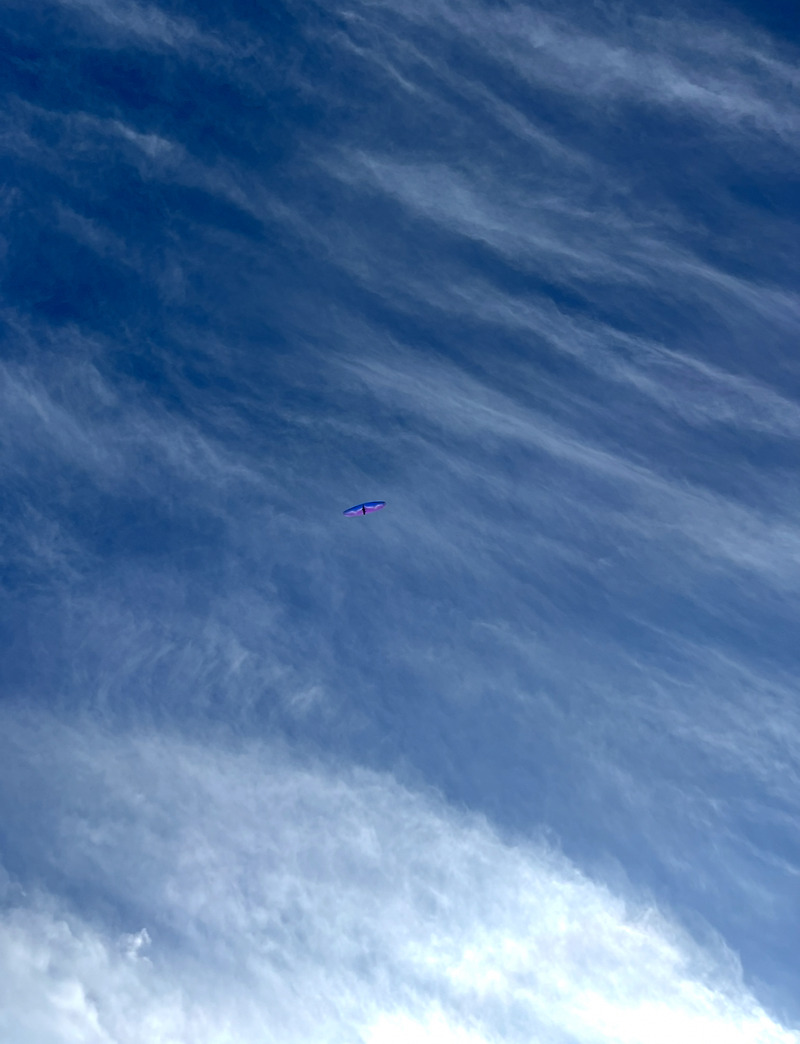 사상인들의 장기는 성정, 주된정서/ 막간 팔상체질?