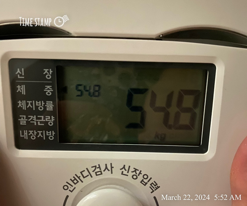D 22 54.8kg -0.5kg :: 소소한일상