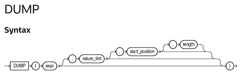 Oracle DUMP 함수 활용 방법