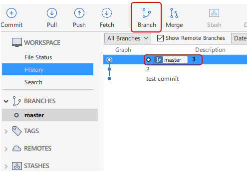Source Tree - branch