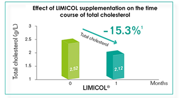 이제부터 영양제 알고먹자! ⑱ 유럽에서 인증한 콜레스테롤 개선 복합물, LIMICOL®