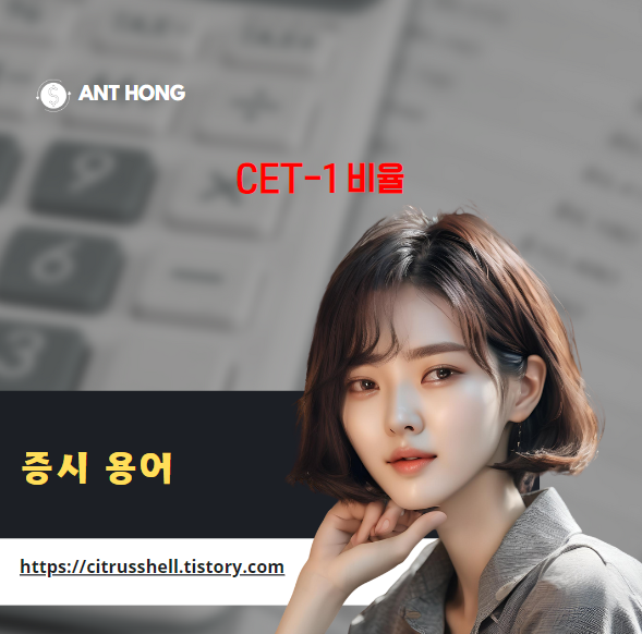 CET-1 비율 : 은행 건전성의 핵심 지표 완벽 가이드