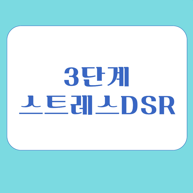 2025 금융시장 이슈 : 스트레스 DSR 3단계의 개요
