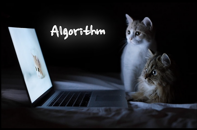 [BOJ] 백준 1016번 제곱 ㄴㄴ수 (Java)