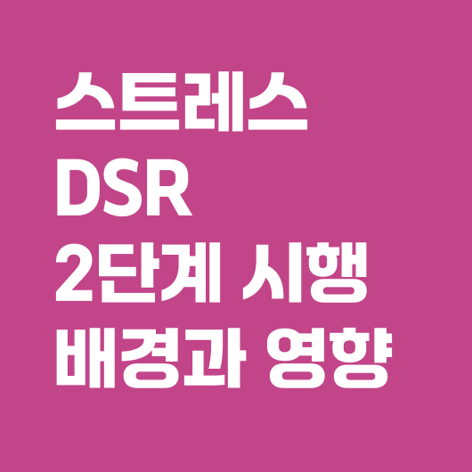 스트레스 DSR 2단계 시행 배경과 영향