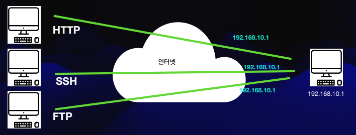 TLP(Transport Layer Protocol) - 1. 프로토콜과 포트