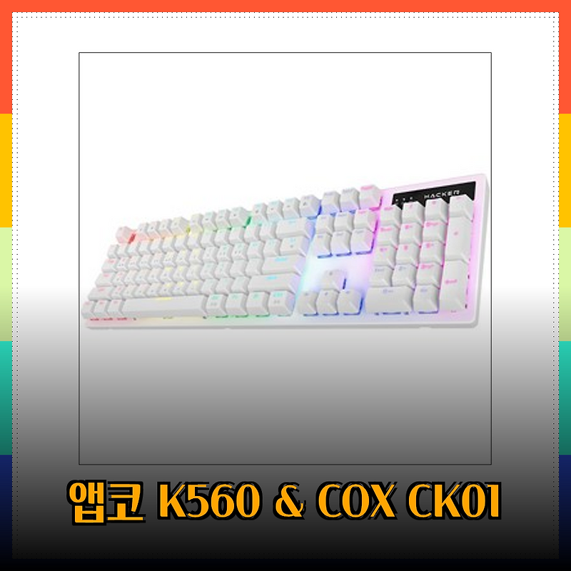 갈축 키보드 추천: 앱코 K560 & COX CK01 TKL 심층 비교분석! 나에게 맞는 키보드는?