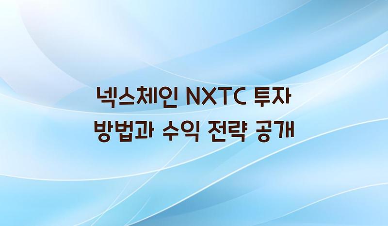 넥스체인 NXTC 투자 방법과 수익 전략 공개