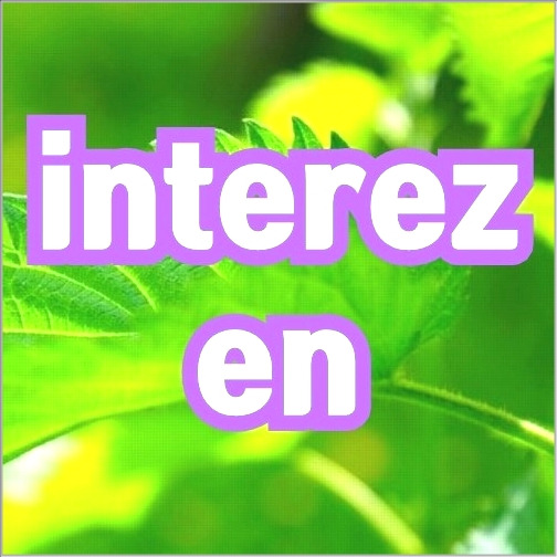 interezen process 이것의 정체는?