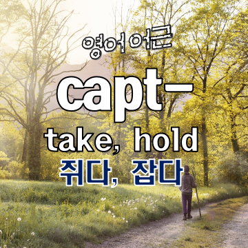 영어어원 - 어근 capt-, ceive-, cept-로 영어단어 공부하기 (어원; Latin어 capere, cipere)