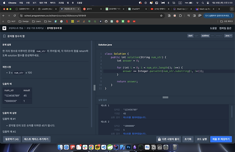 Day96_Programmers Lv.0 '문자열 정수의 합' Java