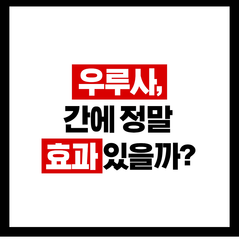 🧬 우루사(URUSA), 간 건강에 진짜 효과 있을까? 과학적 분석과 복용 팁