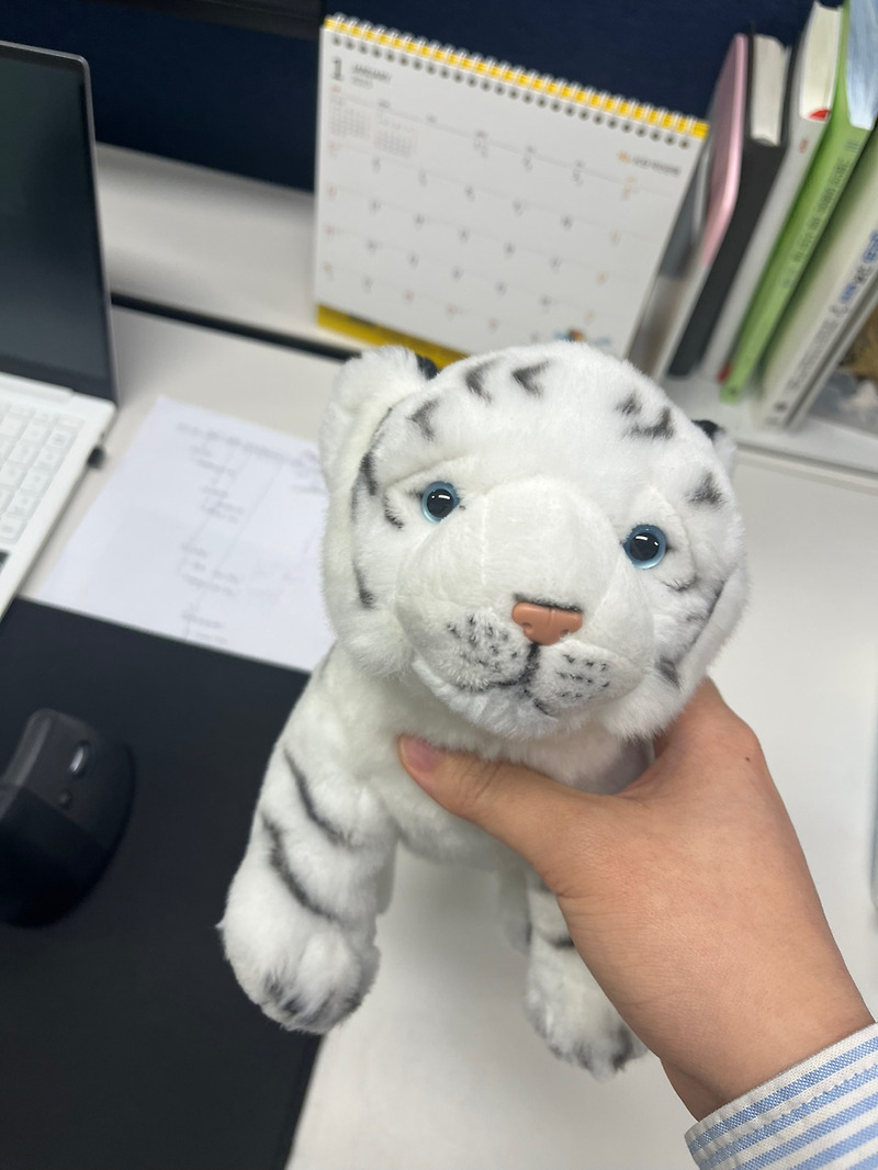 [Toy Project] Tiger-Bot 만들기 - 구상