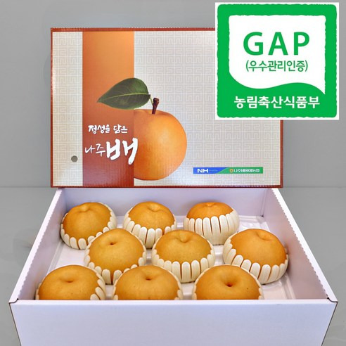 나주배7.5kg 추천 리뷰 순위 TOP 7 | [산지직송] 24년도 수확 GAP인증 나주배 햇배 후기