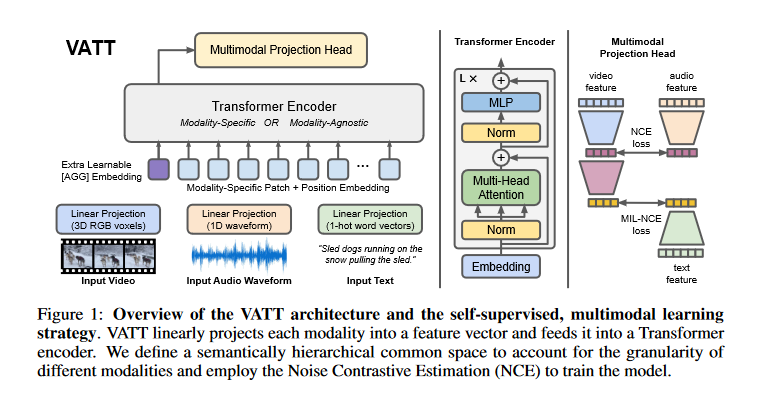 [2024-1] 백승우 - VATT: Transformers for Multimodal Self-Supervised Learning from Raw Video, Audio ...