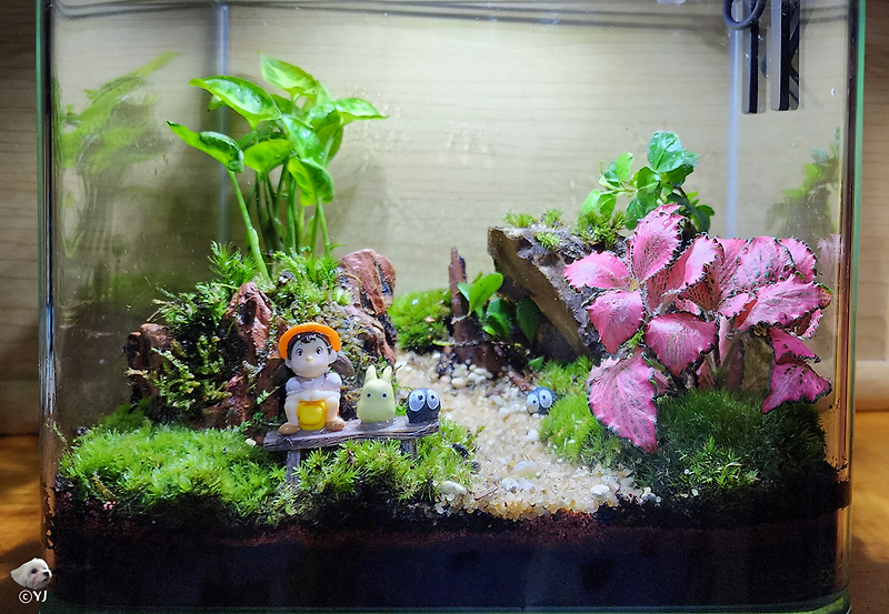 Container_fish tank(21.5X15X17.5)