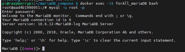 Raspberry Pi에 Docker로 MariaDB 설치하기