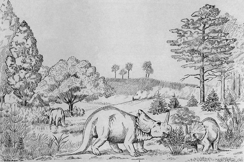 모노클로니우스의 연구에 대해