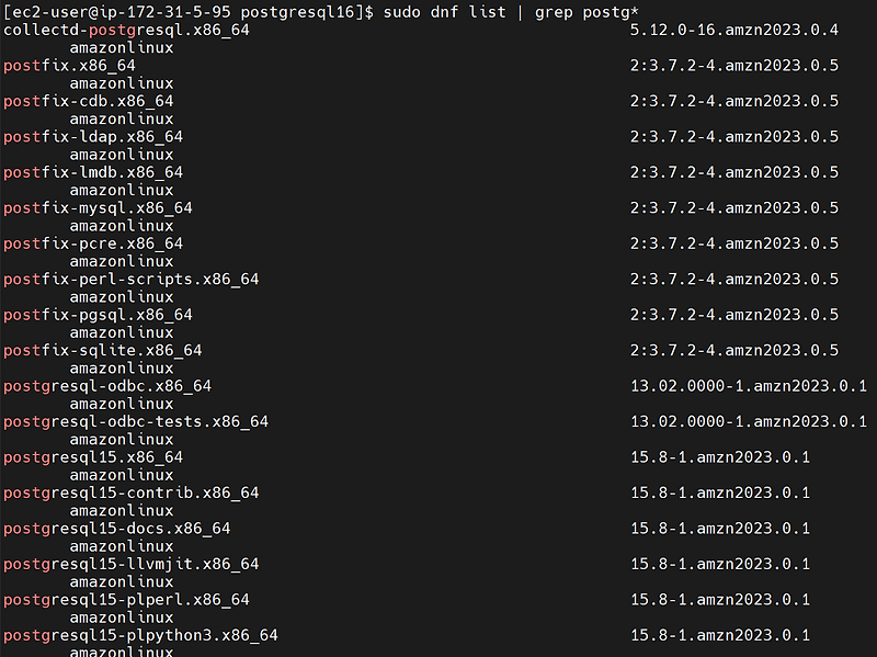 postgresql 설치하기 (AWS, Amazon Linux, dnf, yum)