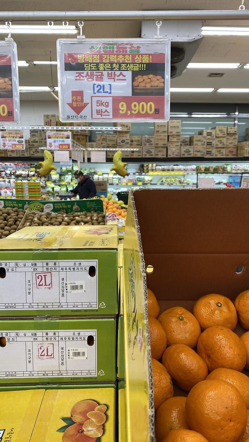 조생귤 2L 5kg 하이웨이 마트 가격