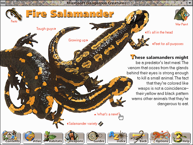 마이크로소프트 데인저러스 크리쳐스 , Microsoft Dangerous Creatures {교육용 소프트 , Education}