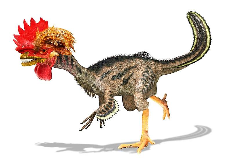 치키노사우루스 프로젝트 :: 지식상자