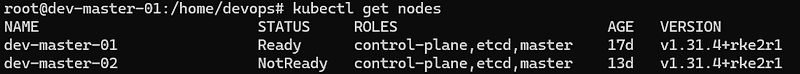 03. RKE2 server 로 Master node 간 HA 구성하기