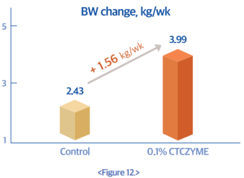 Additive effect of CTCZYME in feed - Ruminant