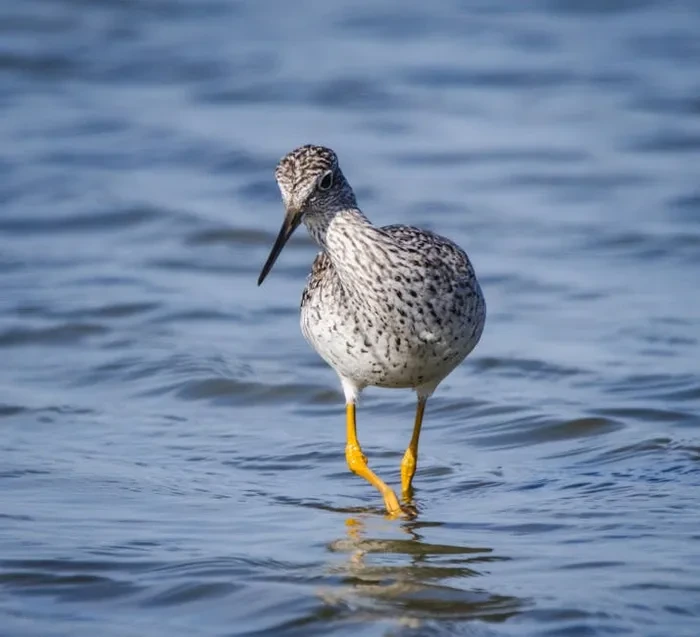 처음 시작하는 사람을 위한 특허 조회 및 유효기간 완벽 가이드