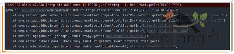 [Spring, MyBatis Error] out of range value column 에러처리