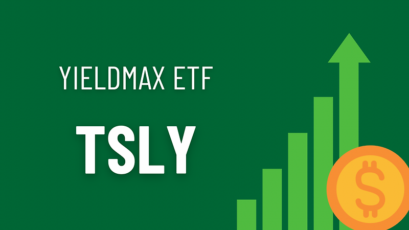 [20250120] 일드맥스 그룹A TSLY 배당일이 있어요. 2025년 1월 24일