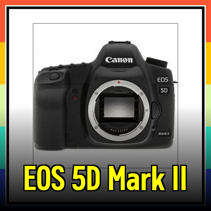 캐논 EOS 5D Mark II 활용을 위한 완벽 가이드: 렌즈부터 액세서리까지!