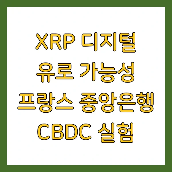 XRP 디지털 유로 가능성 프랑스 중앙은행 CBDC 실험